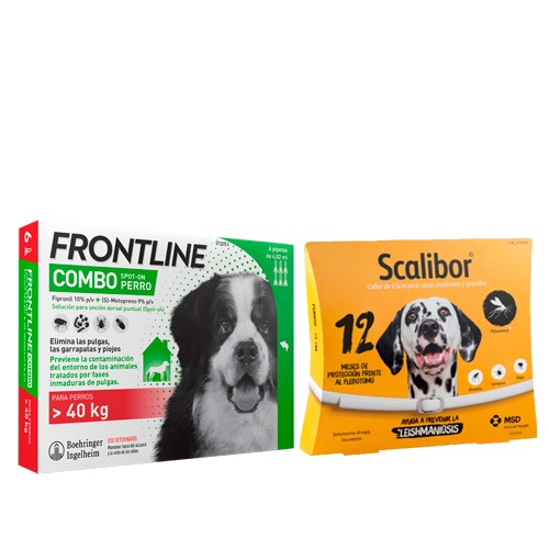 ?Mejores Antiparasitarios para perros - Amazon España 2020